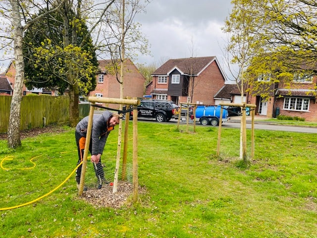Winchester City Council - Climbers Way Tree Care